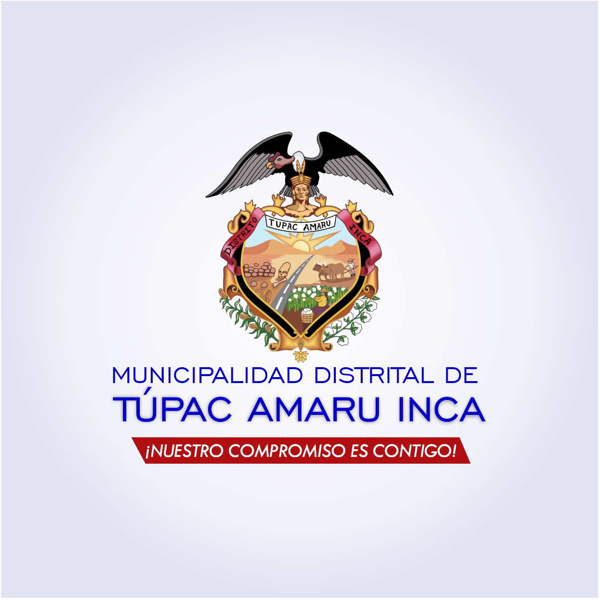 Municipalidad Distrital de Tupac Amaru Inca - R.O.F.